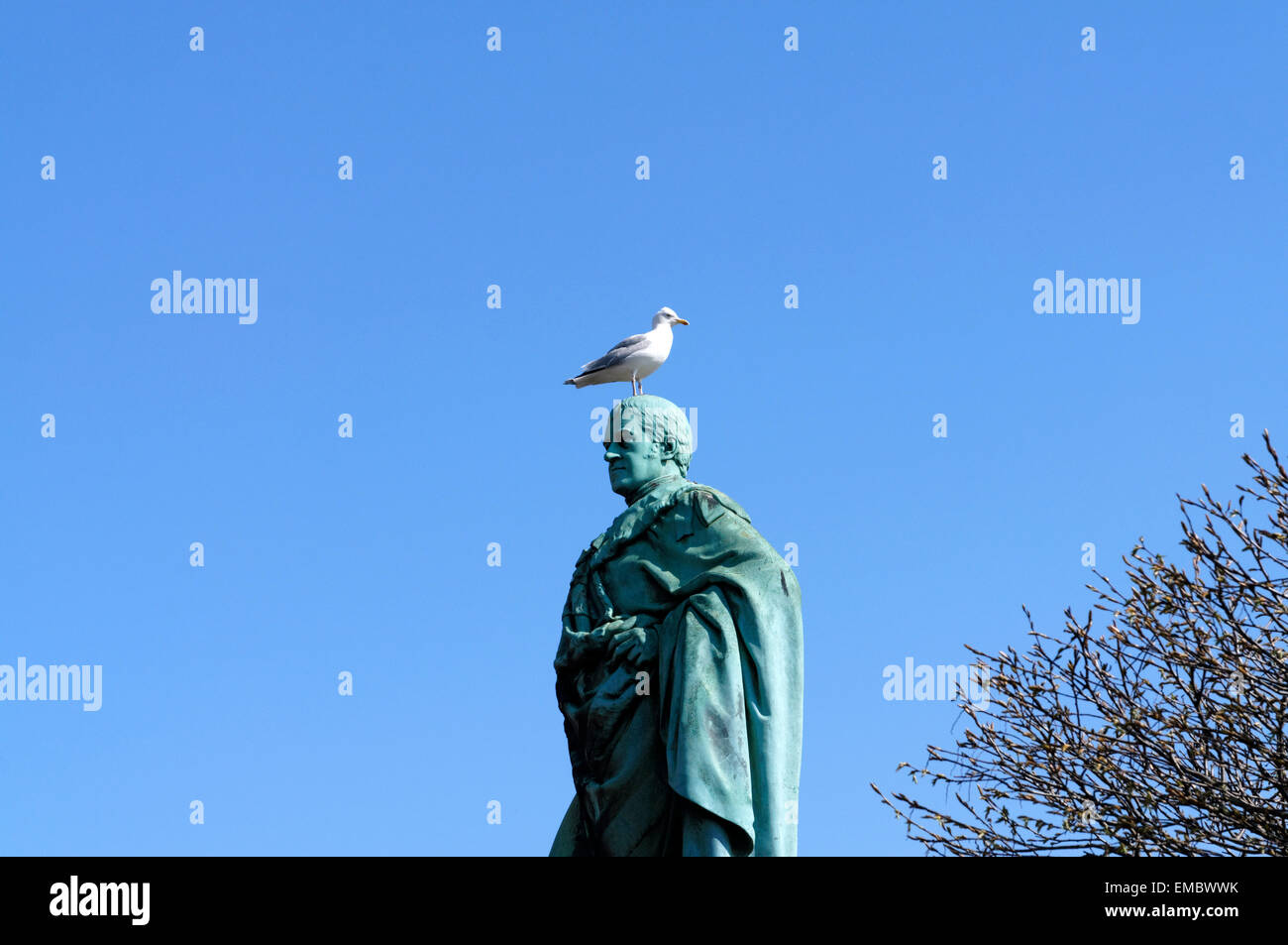 Statue grand gentleman lord cardiff gull sea seagull hi-res stock ...