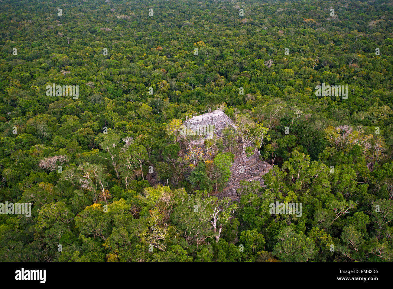 La Danta Complex; El Mirador, Guatemala Stock Photo - Alamy