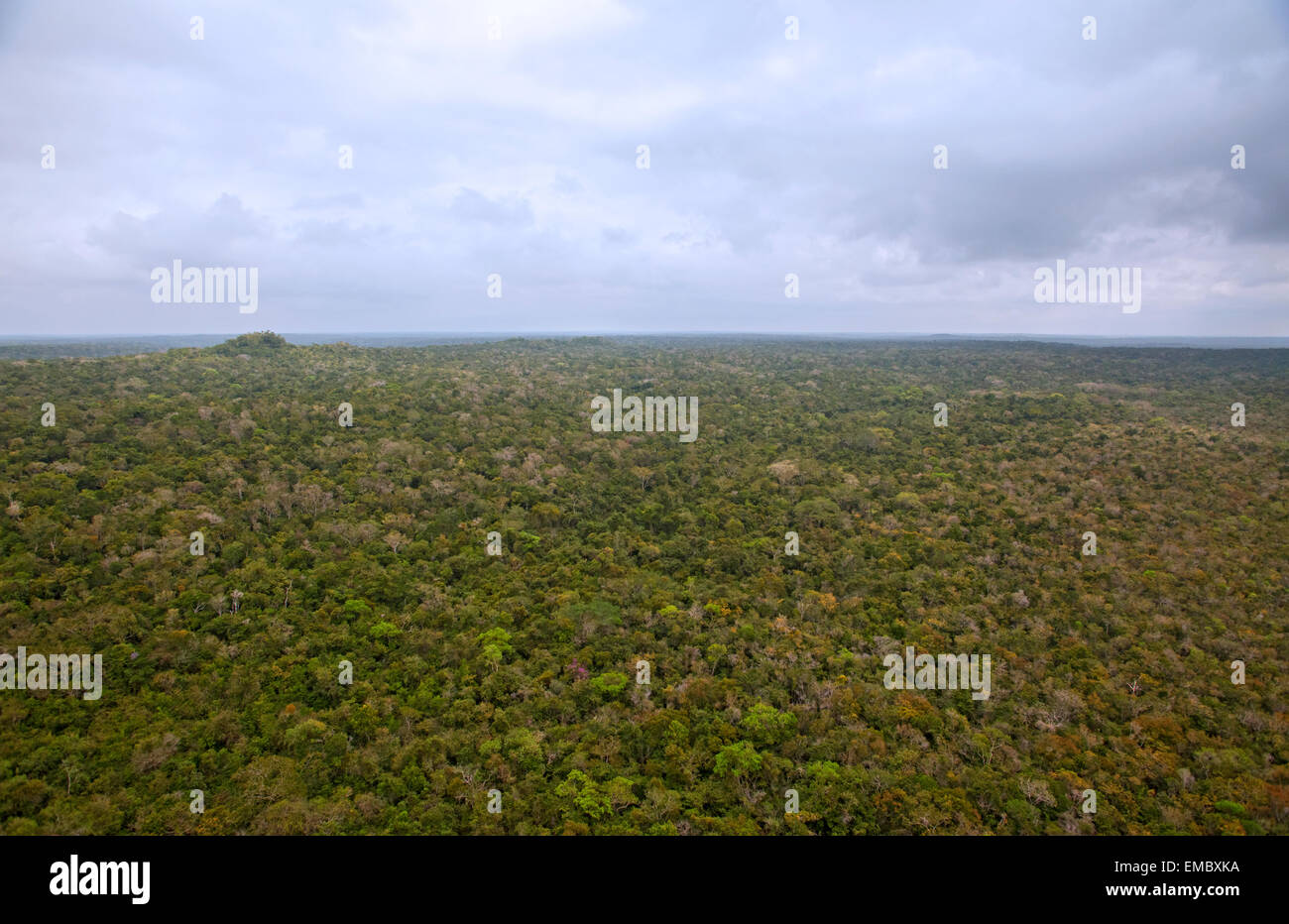 Maya biosphere reserve hi-res stock photography and images - Alamy
