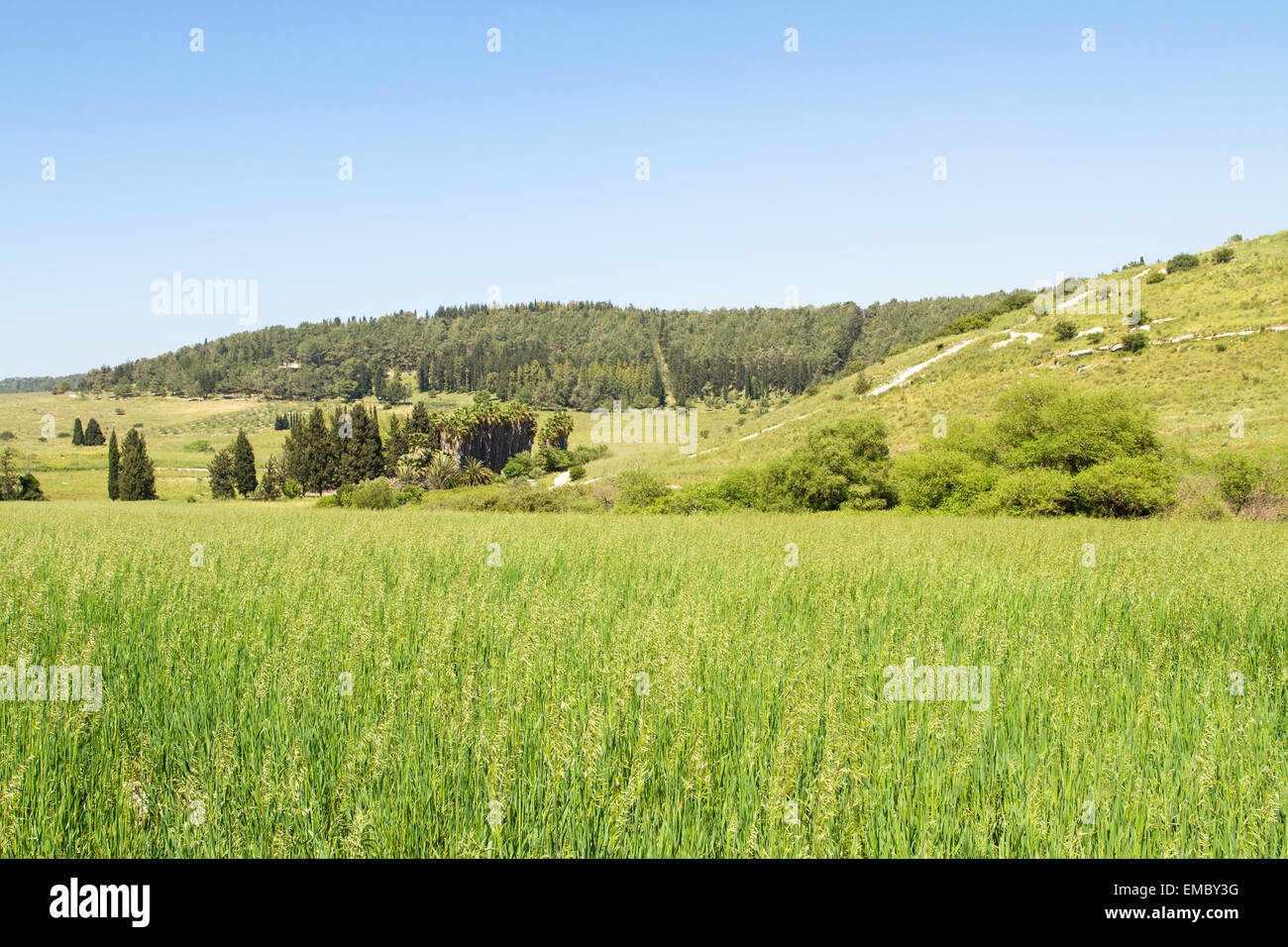 Beautiful photo of the valley in the spring in Israel Stock Photo - Alamy