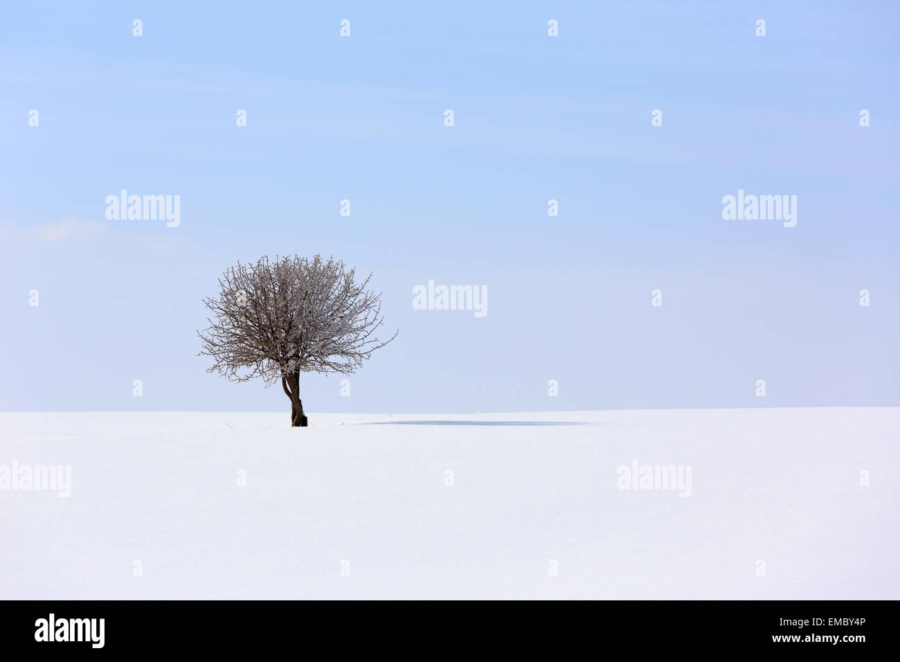 Lonely trees hi-res stock photography and images - Alamy
