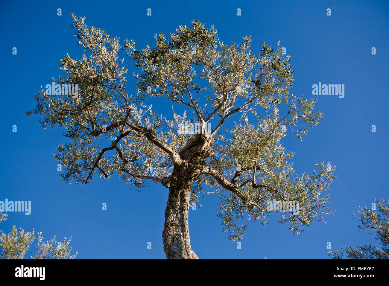 Sierra de gata spain hi-res stock photography and images - Alamy