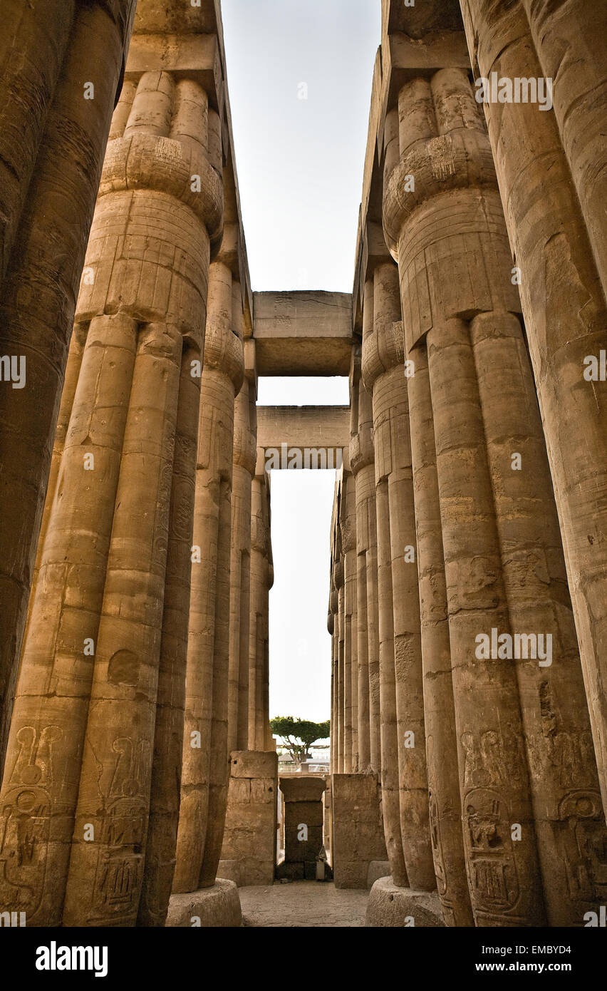 Temple columns view hi-res stock photography and images - Alamy