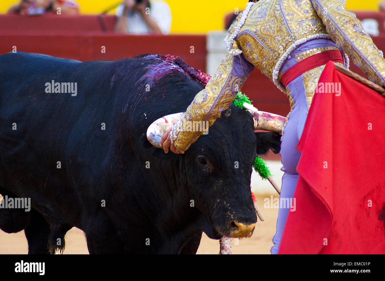 Bullring bullfighter hi-res stock photography and images - Alamy