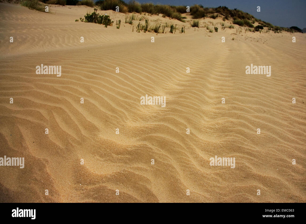 Sand ripples on beach hi-res stock photography and images - Alamy