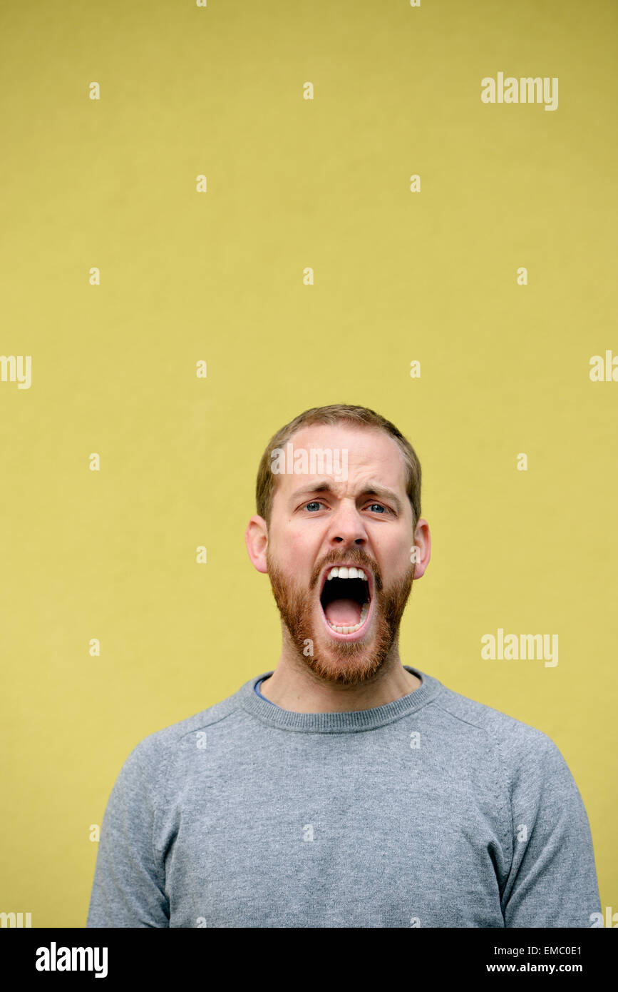 Portrait of screaming young man in front of yellow background Stock ...
