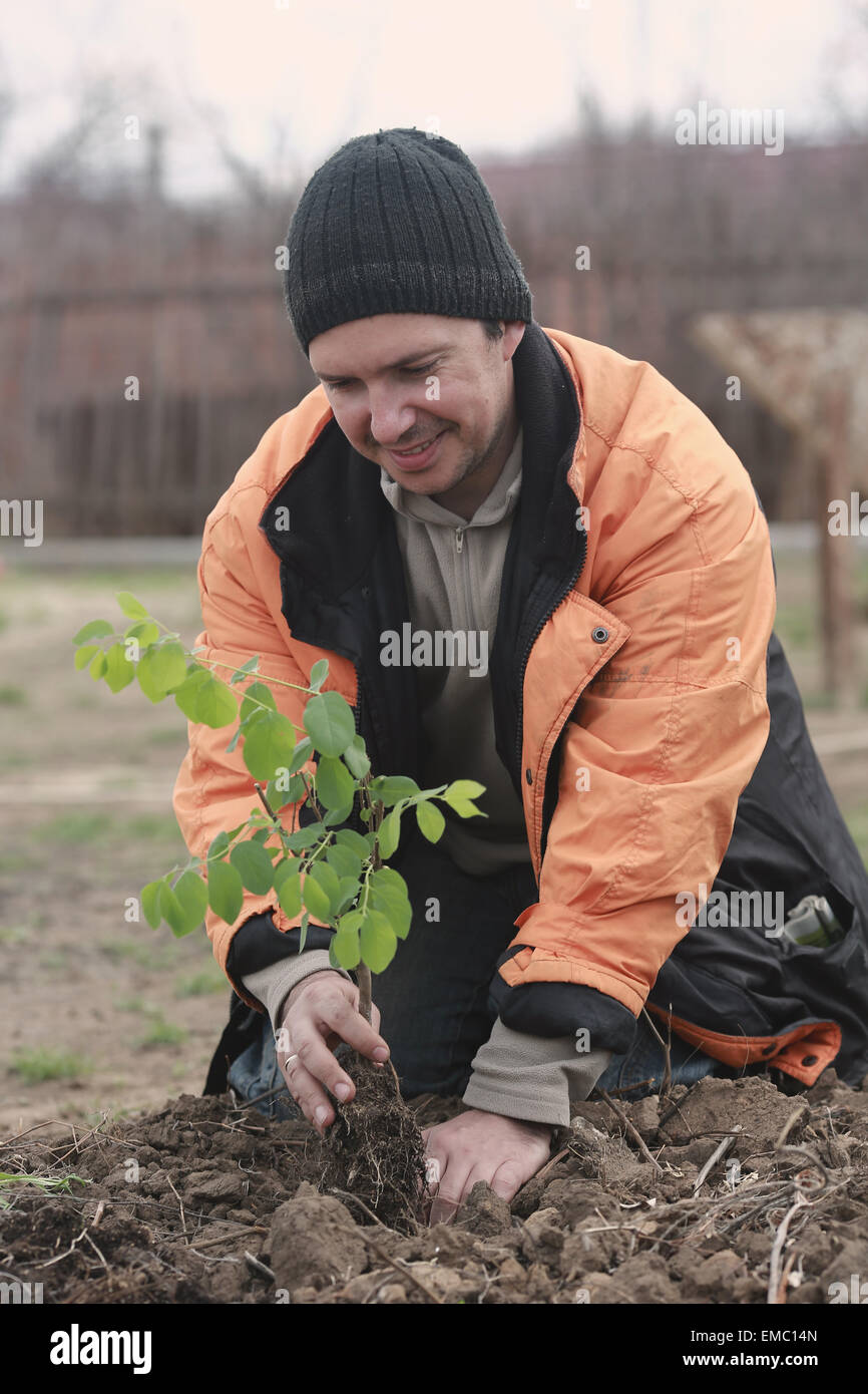 Sapling and mature tree hi-res stock photography and images - Alamy