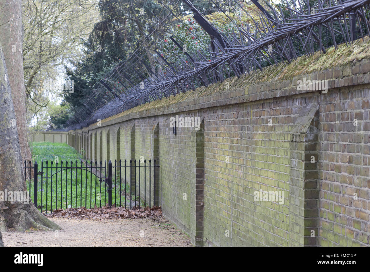 perimeter Wall of Buckingham Palace with spikes and cameras on the top ...