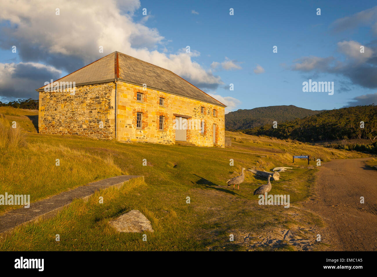 Commissariat Store (c.1825) - Maria Island National Park - Tasmania ...