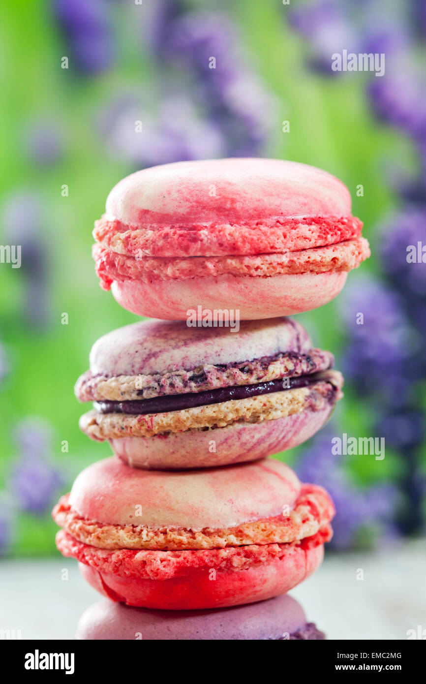 Stack of macarons Stock Photo - Alamy