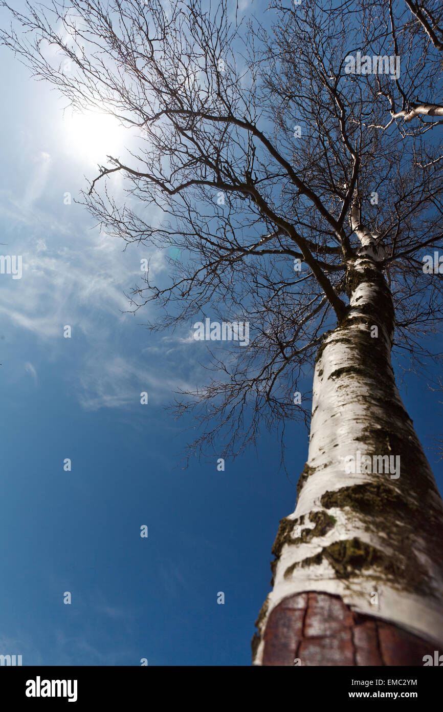 Sky blue backgrounds hi-res stock photography and images - Alamy