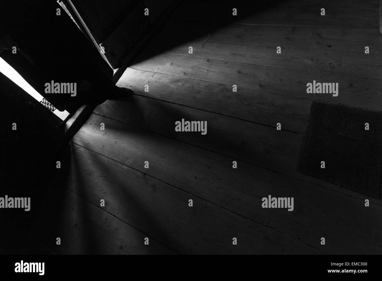 Buddhist monk walking through hi-res stock photography and images - Alamy