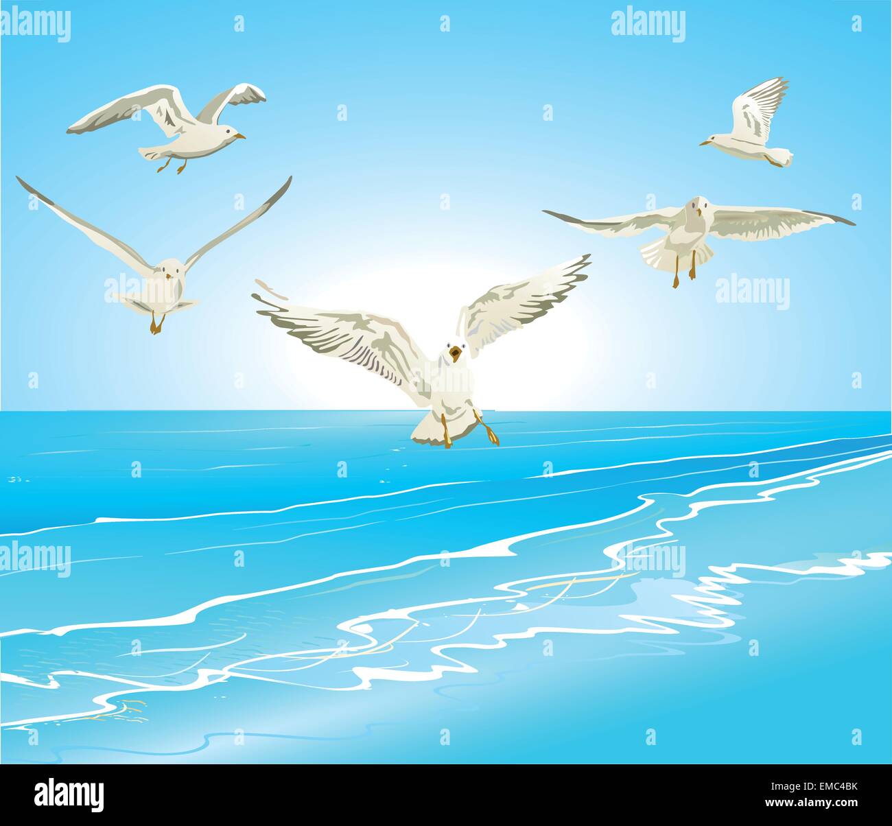 Seagull on beach summer Stock Vector Images - Alamy