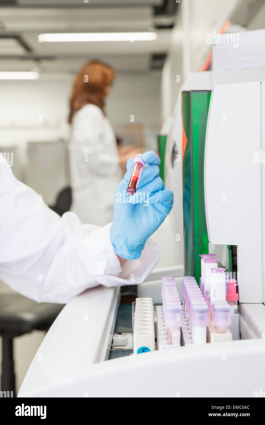 Scientists working in laboratory Stock Photo - Alamy
