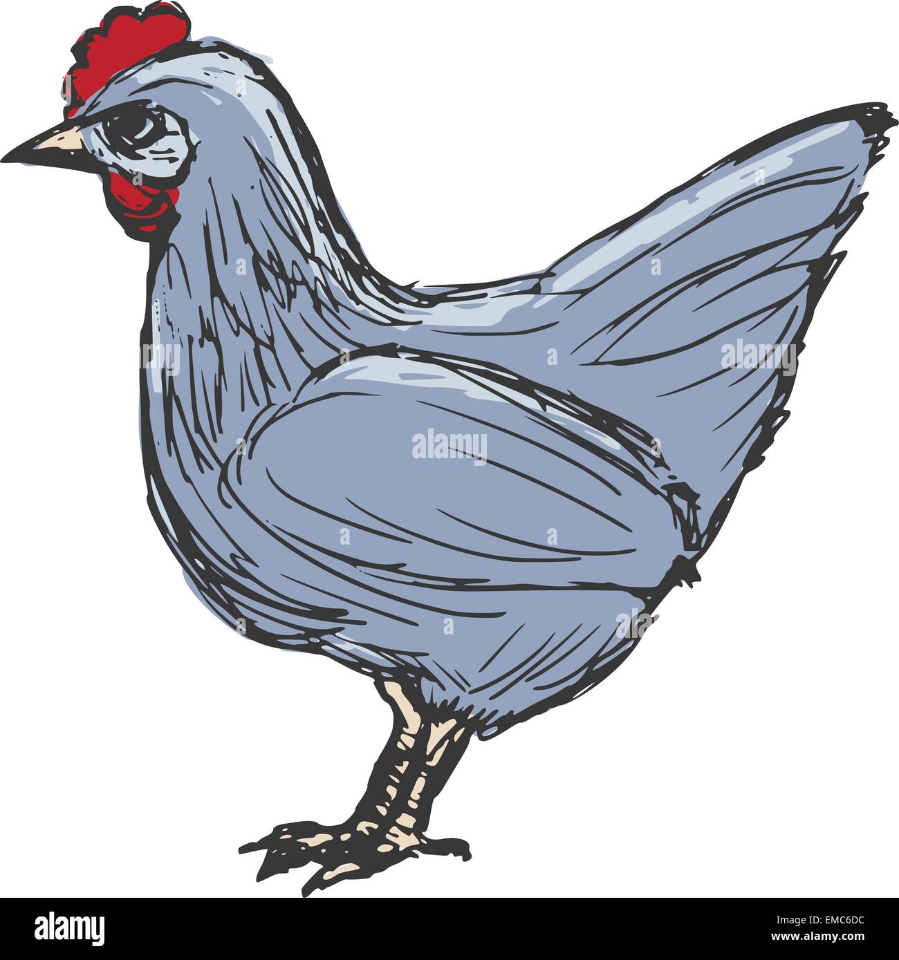 Hen cartoon illustration hi-res stock photography and images - Alamy