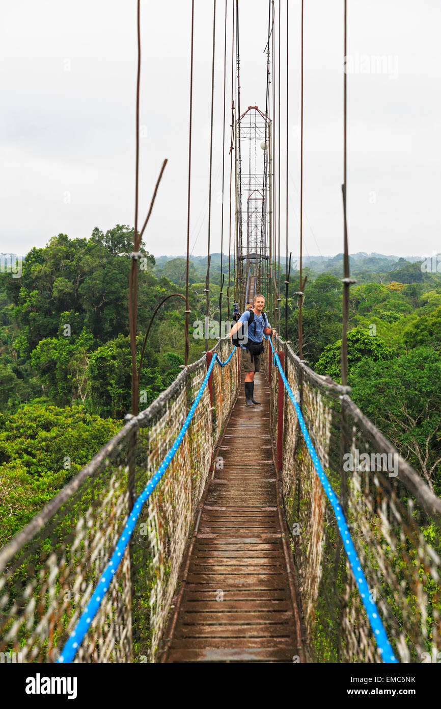 Ecuador, Amazon River region, tourist on suspension bridge above rain ...
