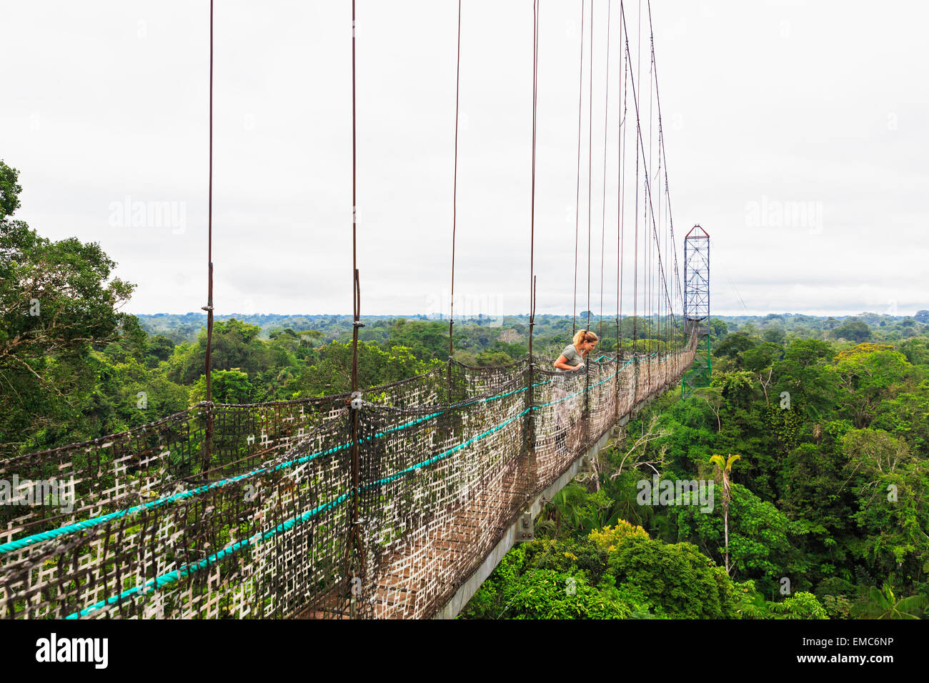 Ecuador, Amazon River region, tourist on suspension bridge above rain ...