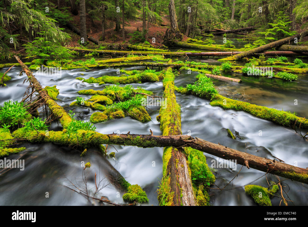 Oregon river umpqua hi-res stock photography and images - Alamy