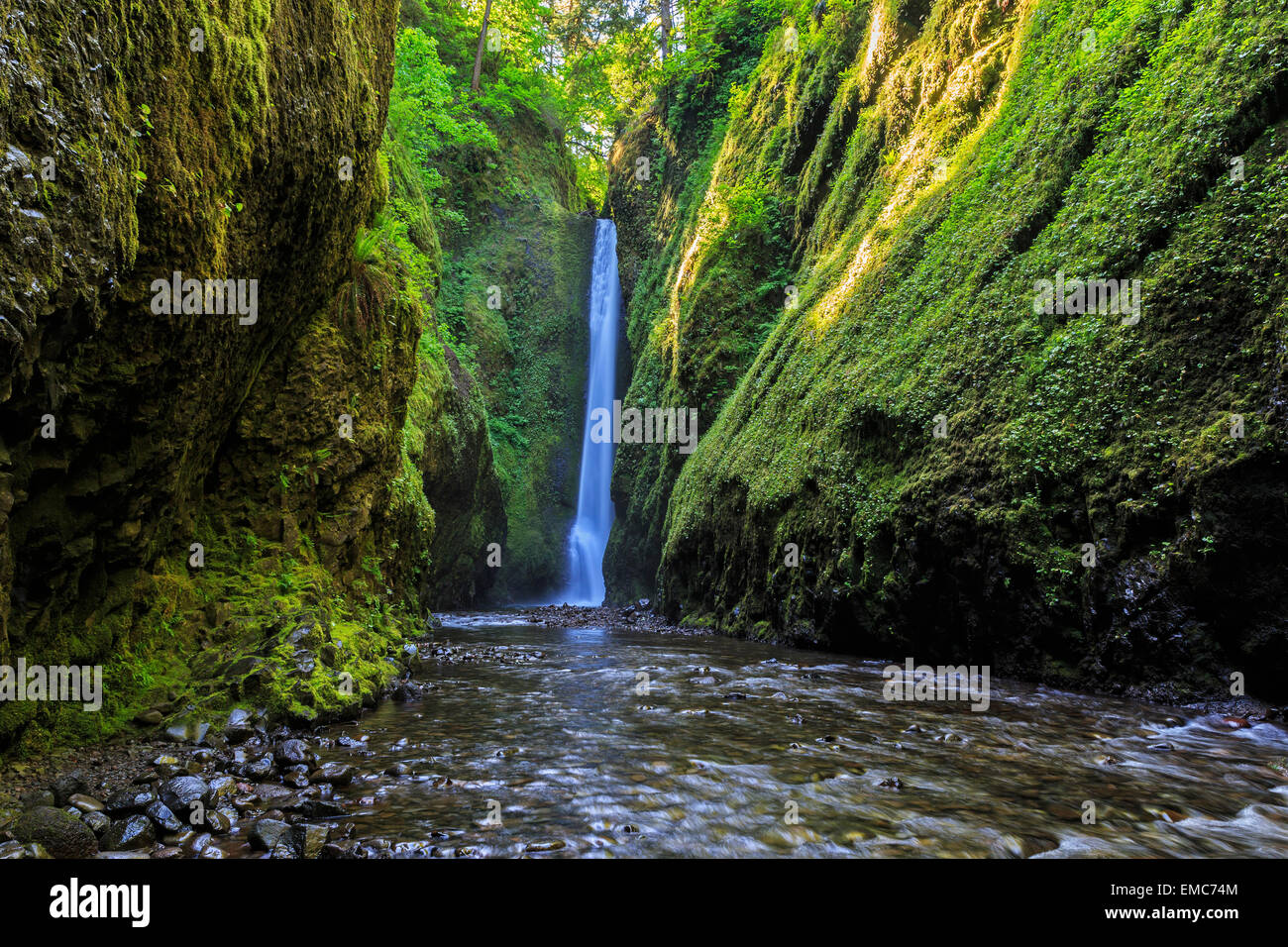 USA, Oregon, Multnomah County, Columbia River Gorge, Lower Oneonta Falls Stock Photo - Alamy