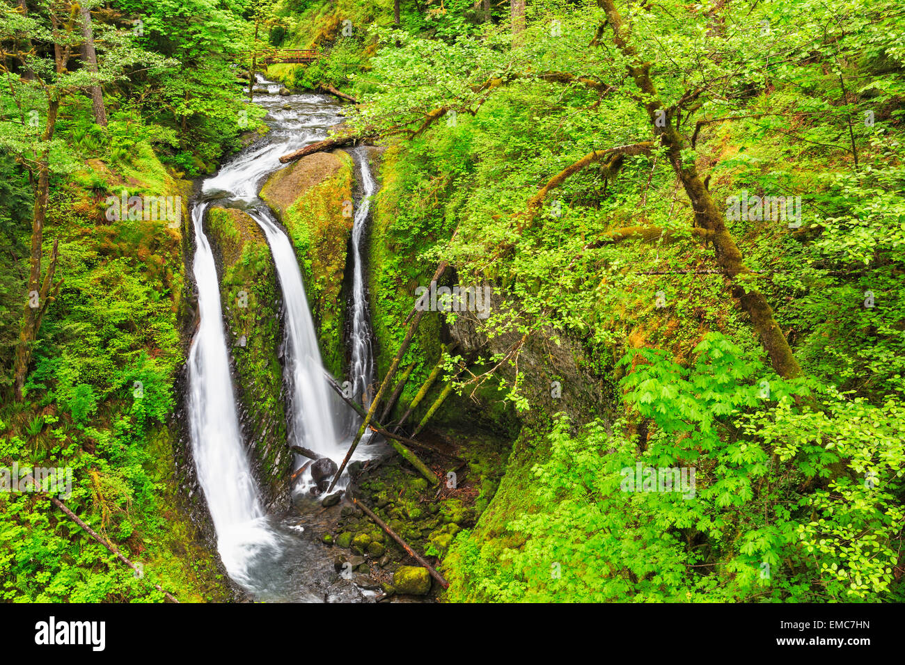 USA, Oregon, Columbia River Gorge, Multnomah County, Triple Falls Stock ...