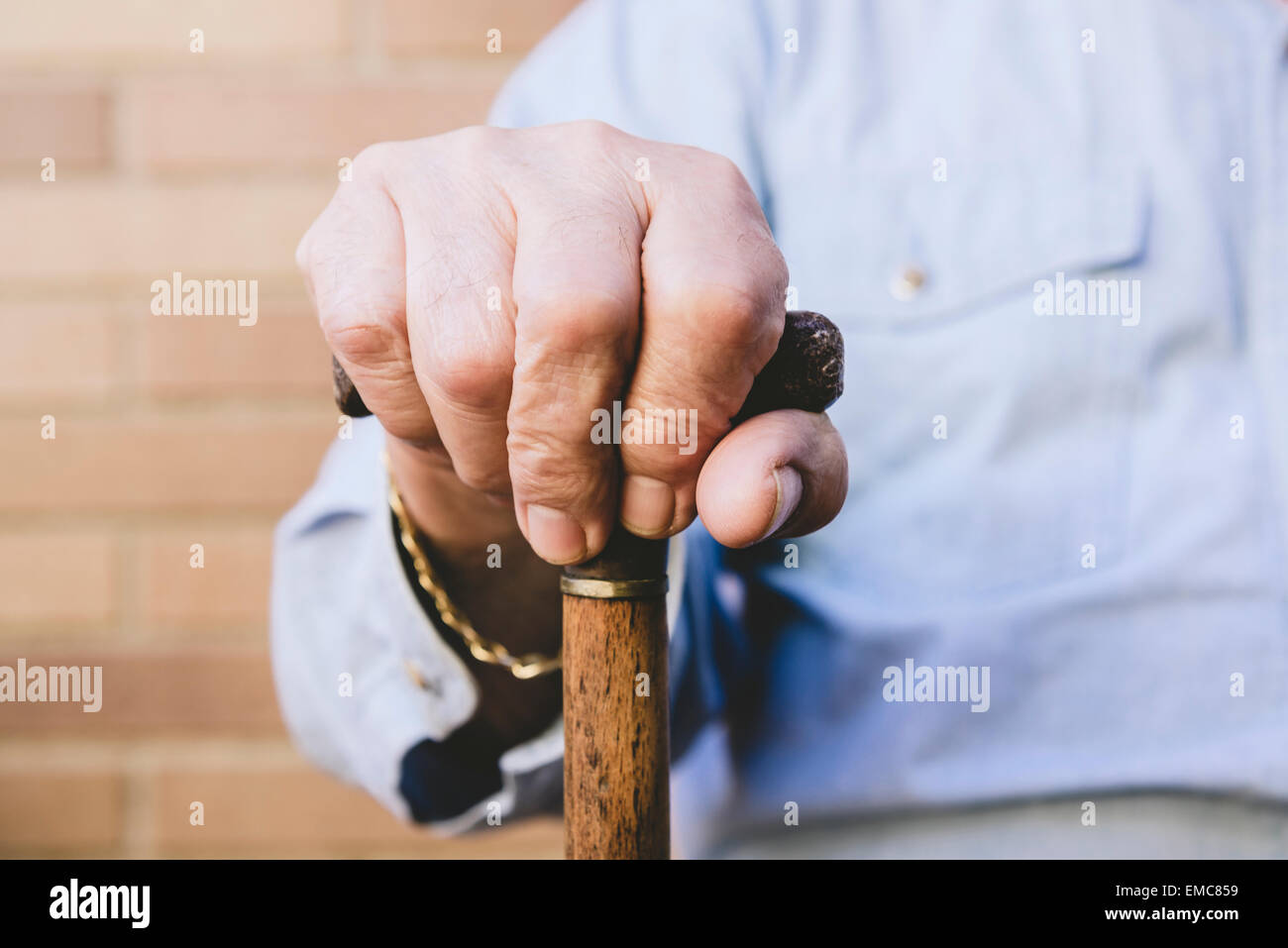 Cane Break Stock Photos & Cane Break Stock Images - Alamy