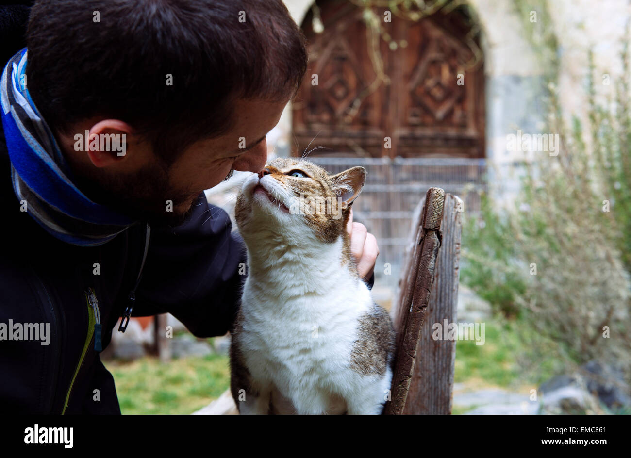 Man playing with a cat Stock Photo - Alamy
