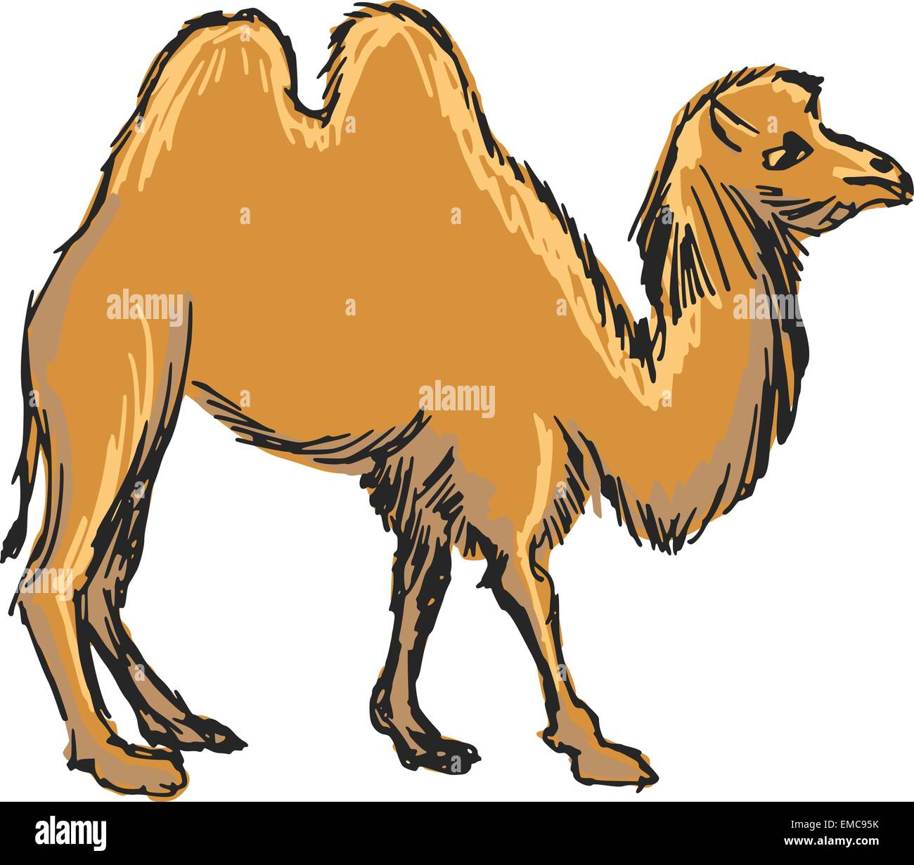 Cartoon camel Cut Out Stock Images & Pictures - Alamy