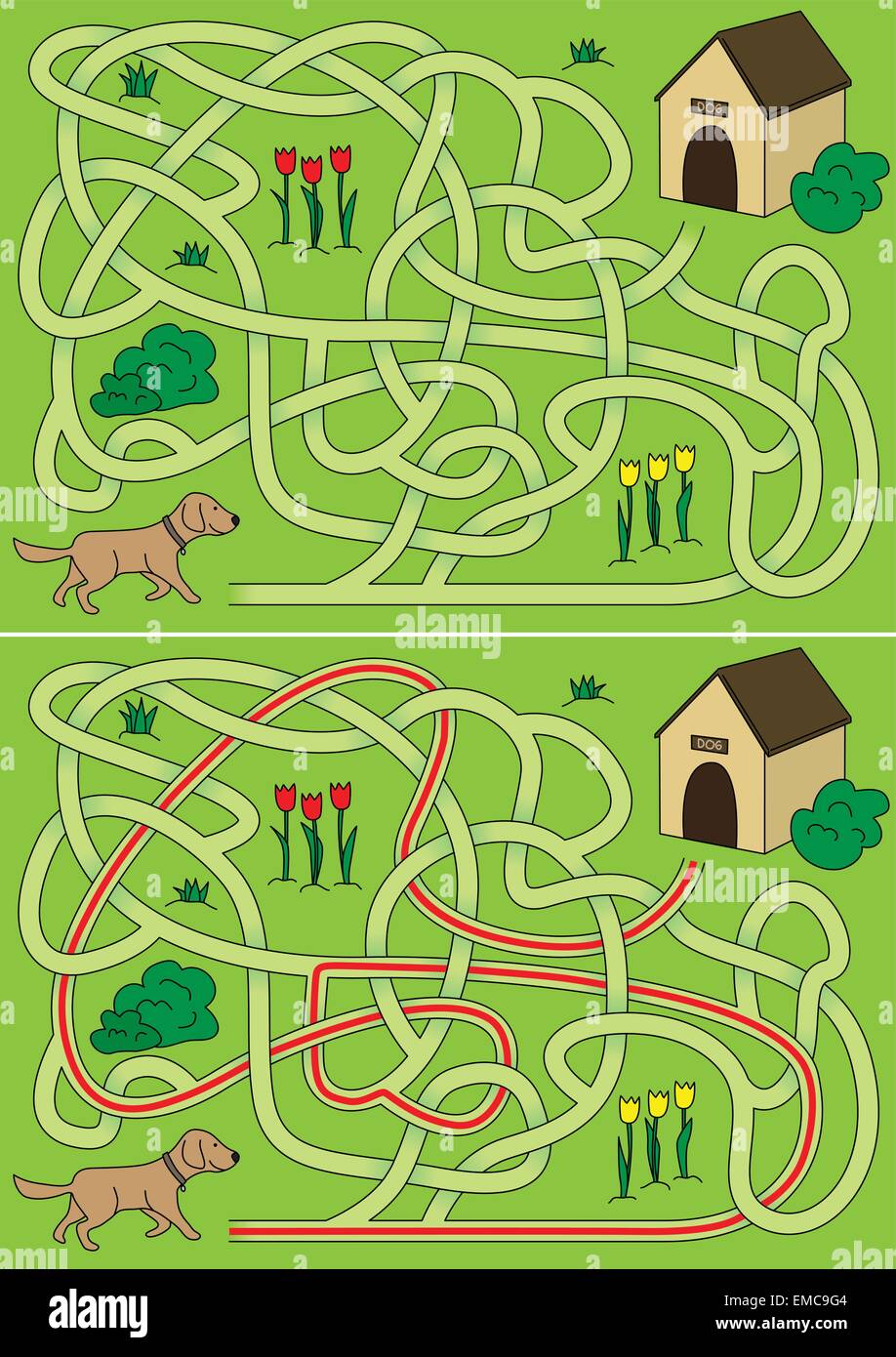 Dog Mazes