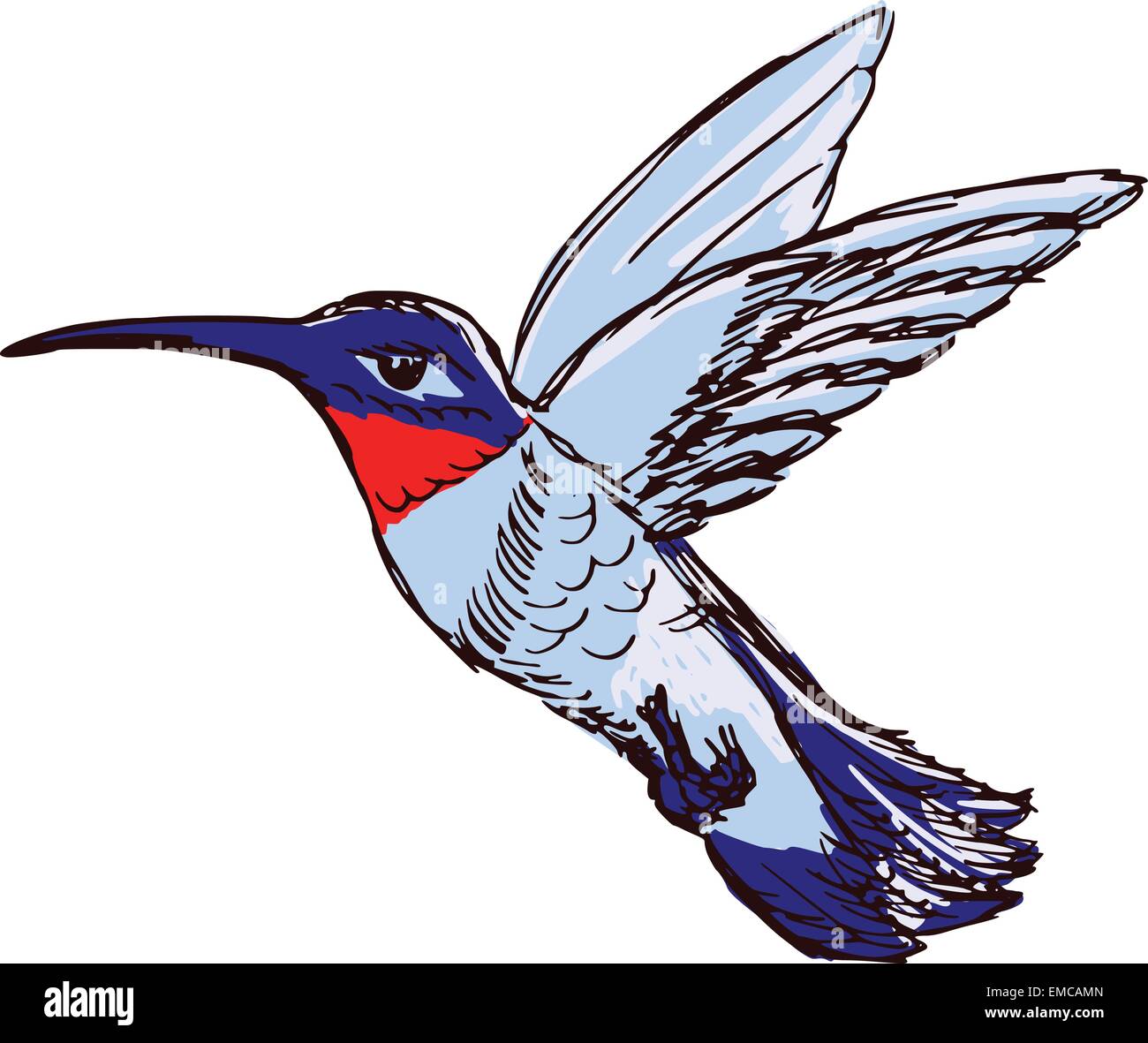 Hummingbird cartoon vector illustration Stock Vector Images - Alamy