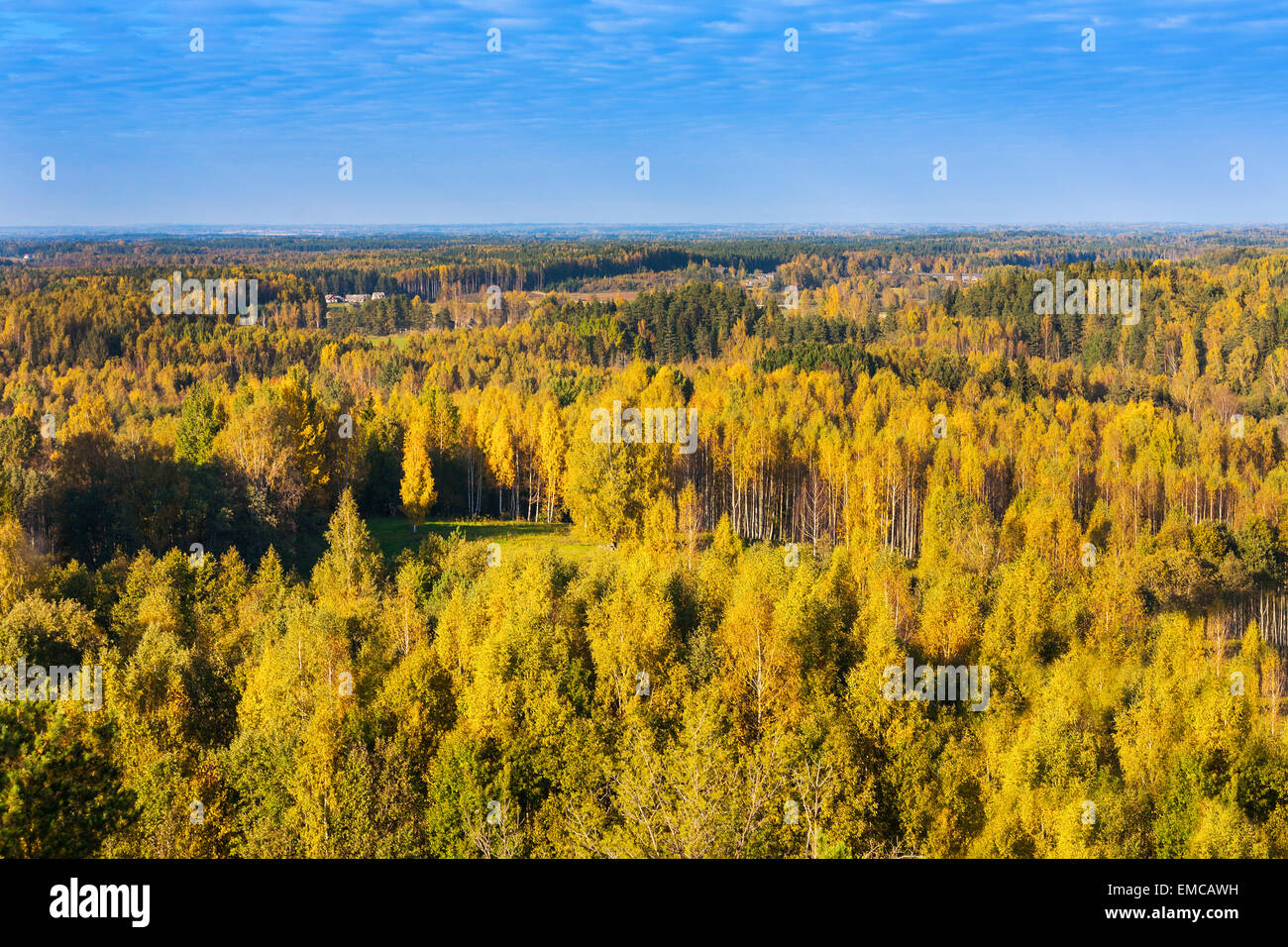 Estonia, Voru county, view from Maeekonnu tower to colorful trees Stock ...
