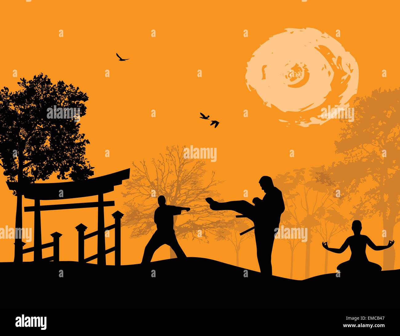 Karate in the sunset Stock Vector Image & Art - Alamy