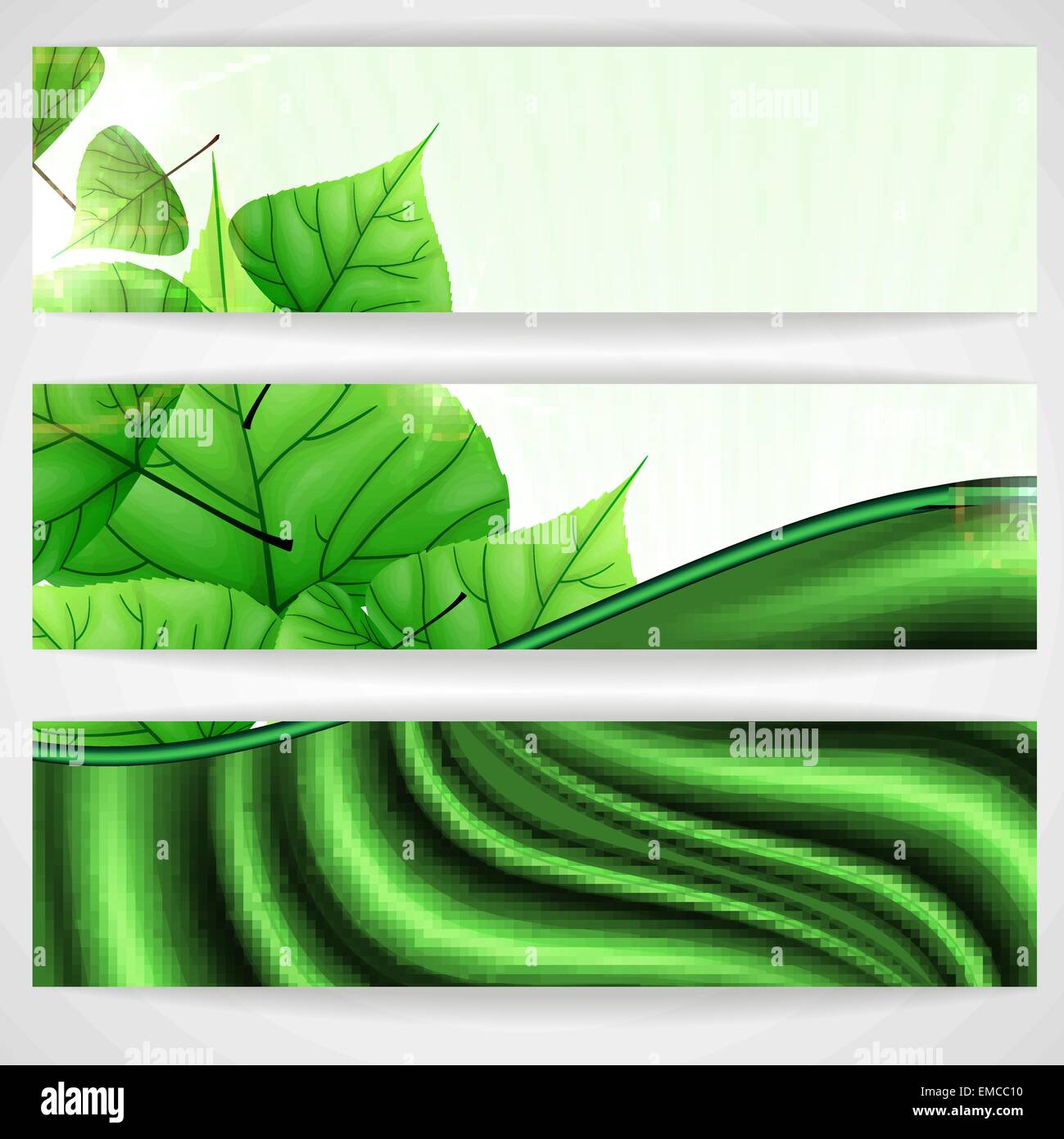 Eco Green Background With Leaves Stock Vector Image & Art - Alamy
