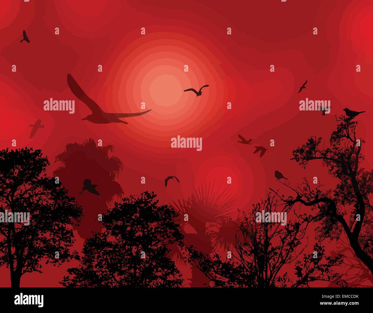 Tree silhouettes sunset Stock Vector Images - Alamy
