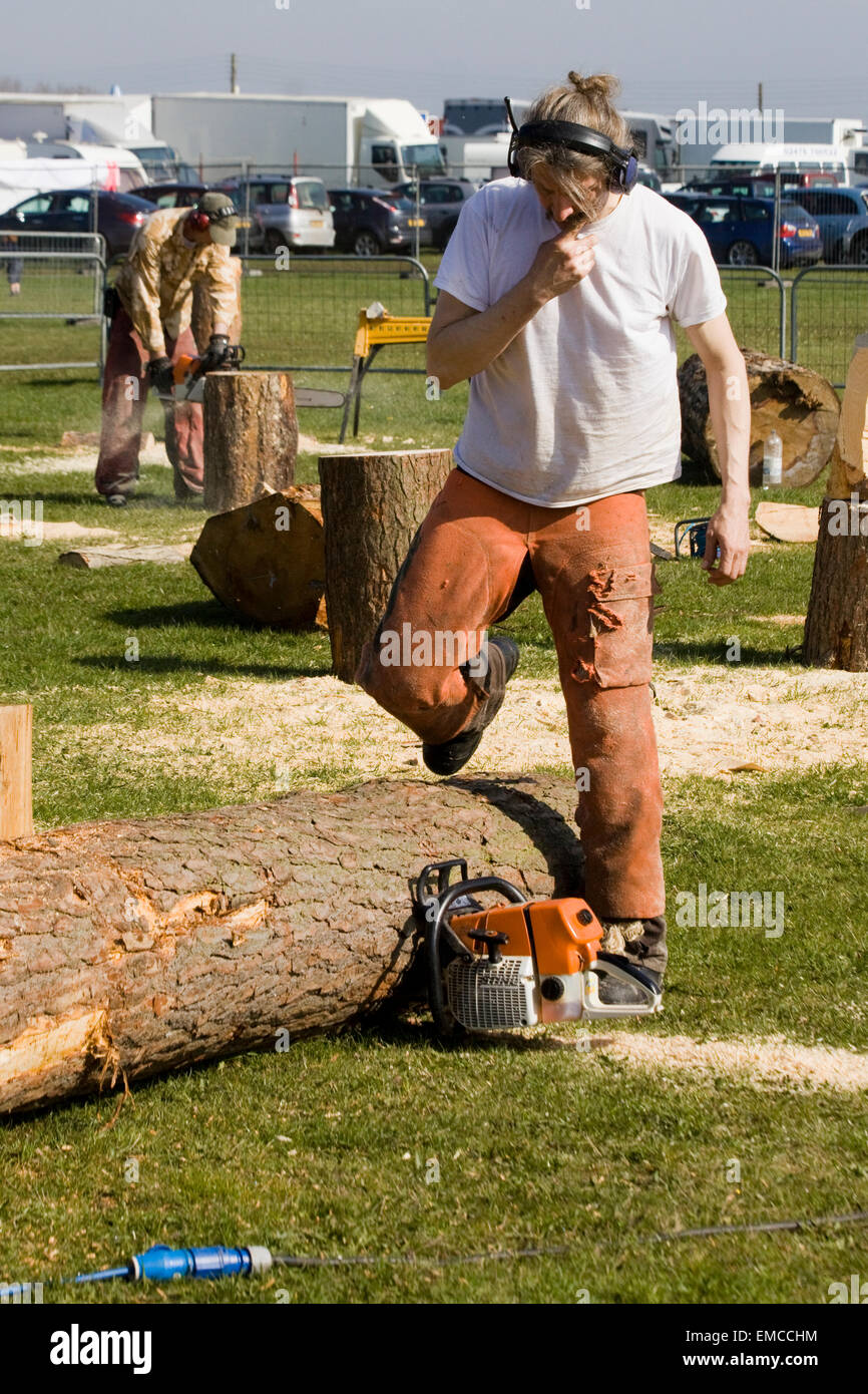 Man using a chainsaw to carve statues out of trunks of trees Stock ...