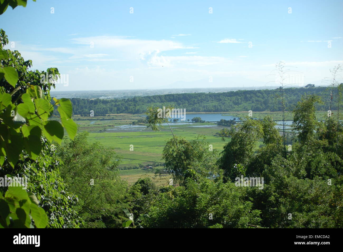A view of rice (paddy) fields in The Philippines Stock Photo - Alamy