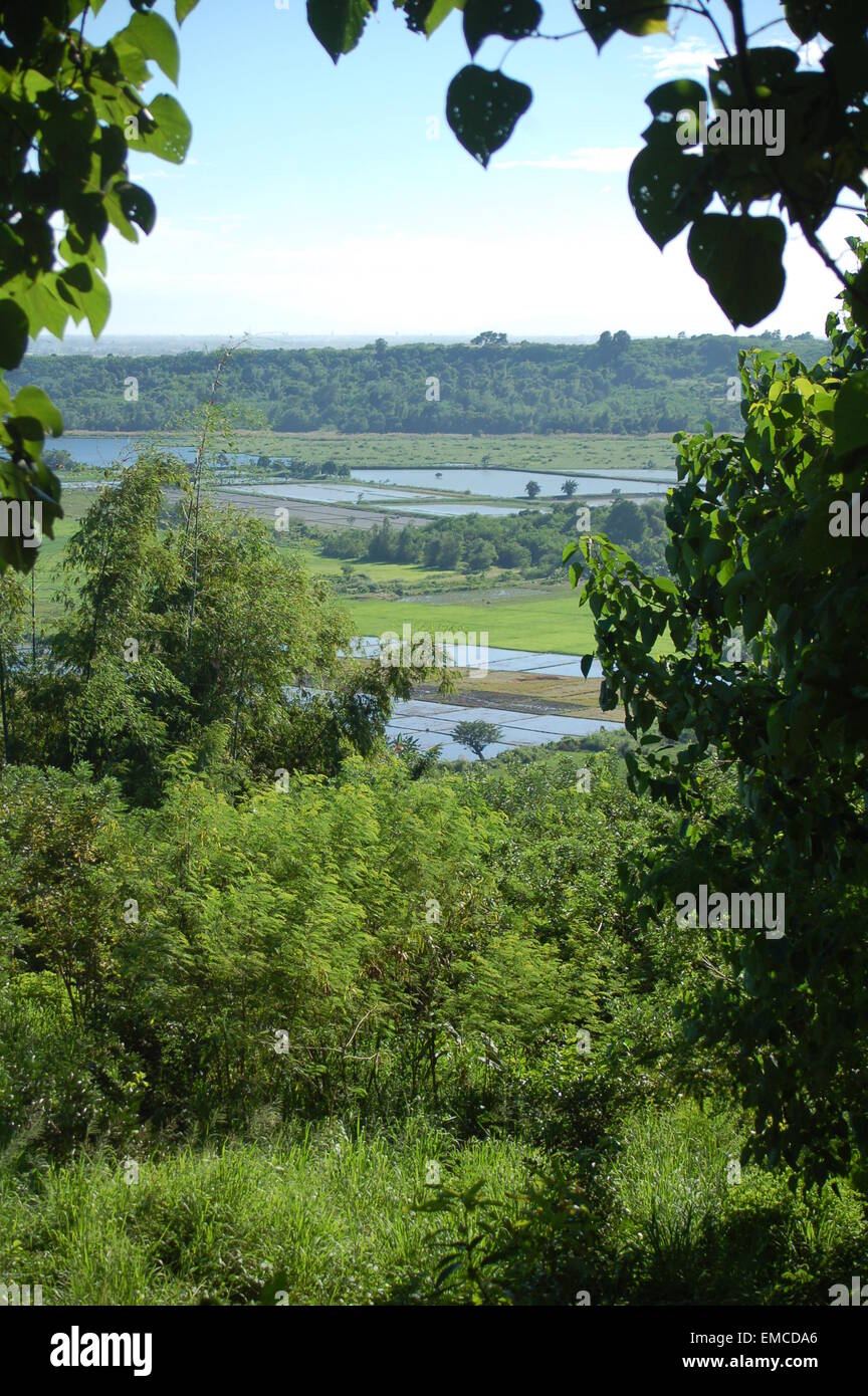 A view of rice (paddy) fields in The Philippines Stock Photo - Alamy