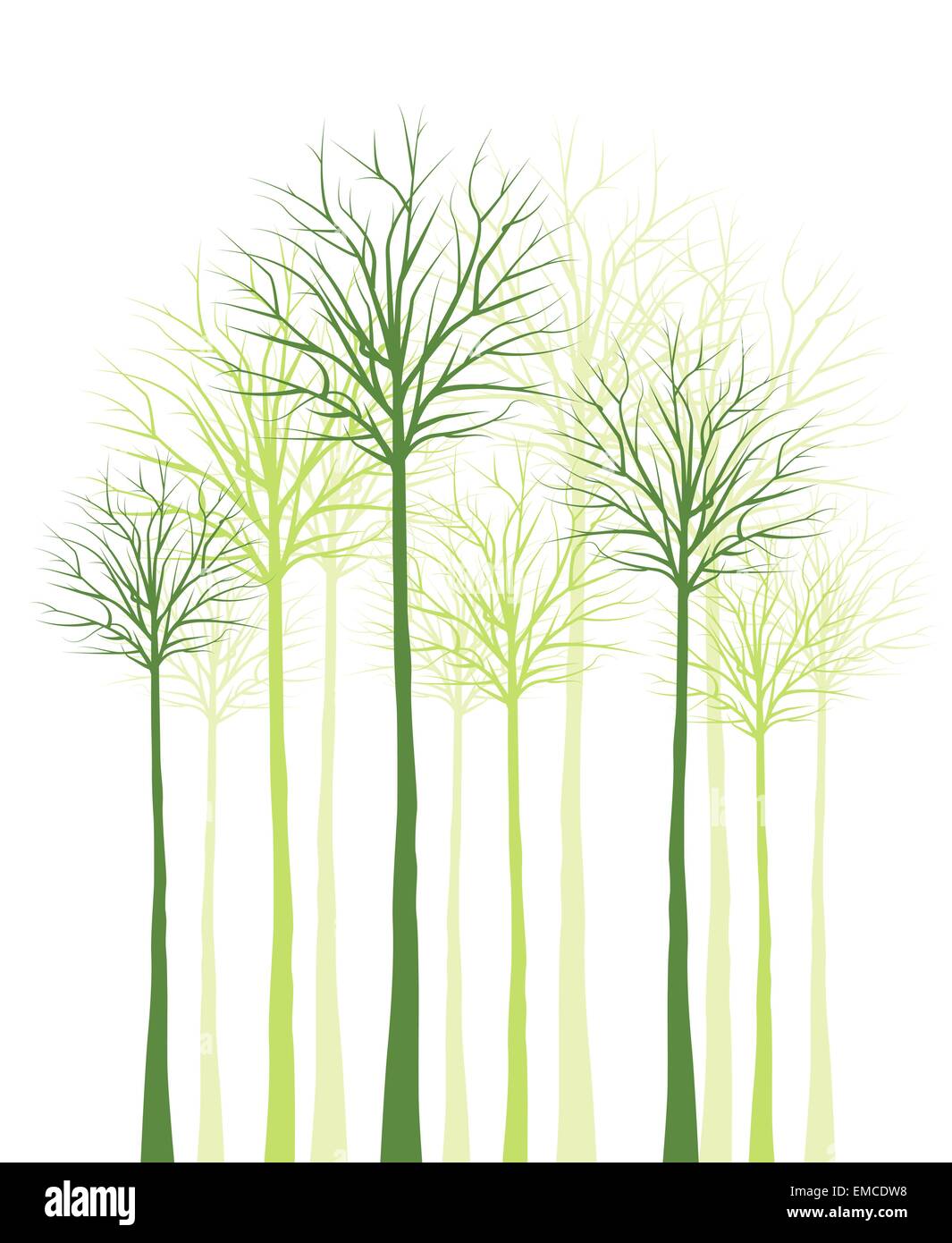 Forest with big trees Stock Vector Images - Alamy