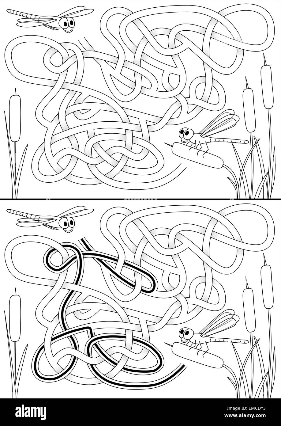 Dragonfly maze hi-res stock photography and images - Alamy