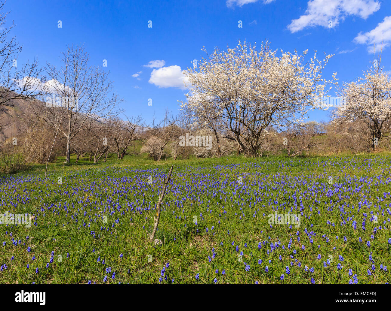 Spring in the mountains near the village of Lahij Azerbaijan Stock ...