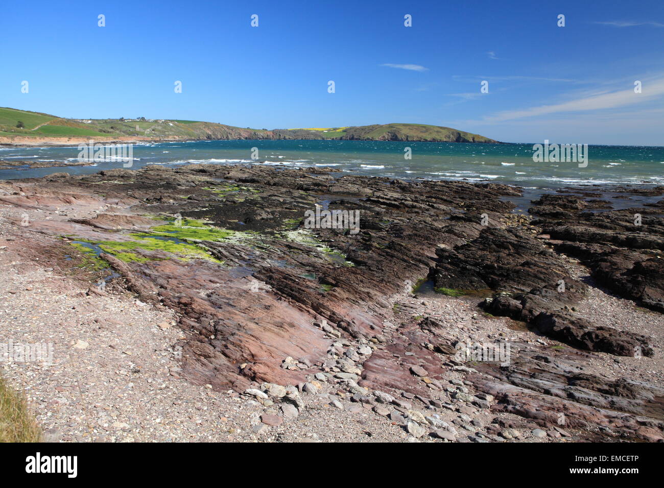 Wembury devon bay beach hi-res stock photography and images - Alamy