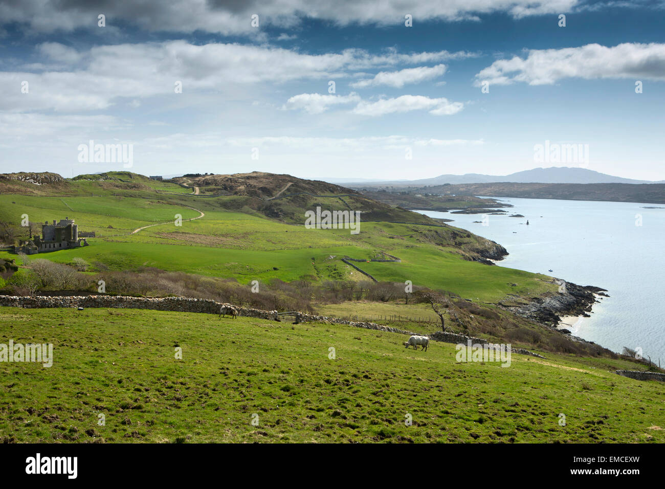 Ireland, Co Galway, Connemara, Clifden, Sky Road, Clifden castle and ...