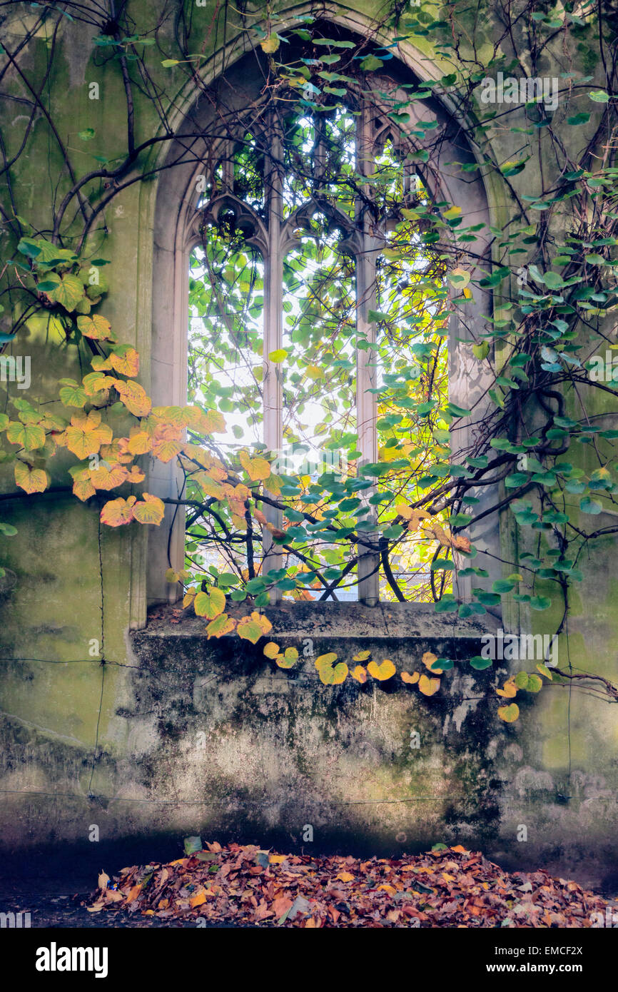 A Gothic window draped with ivy at St. Dunstan in the East Church ...
