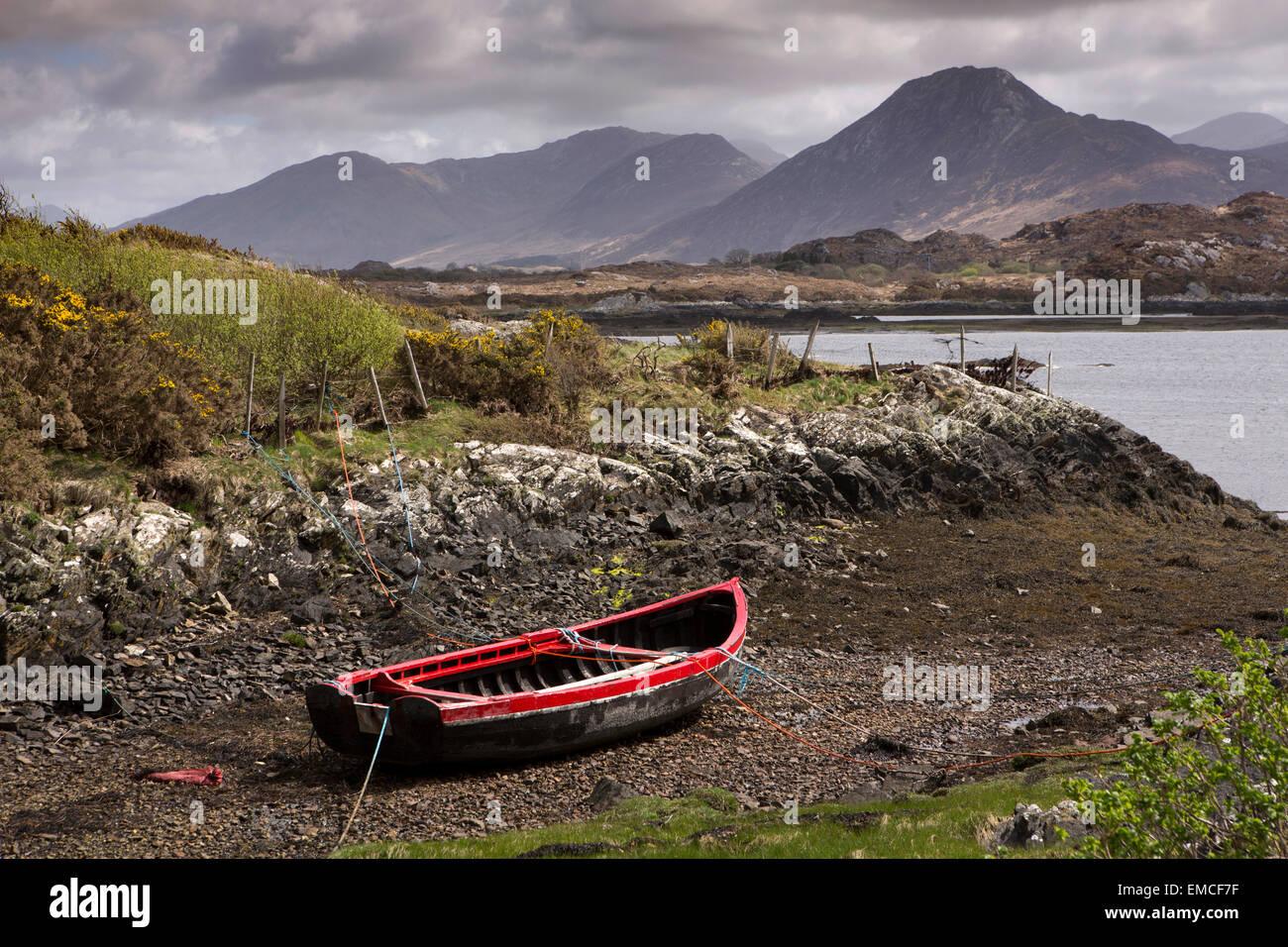 Ireland, Co Galway, Connemara Loop, Lettermore, red boat moored beside ...