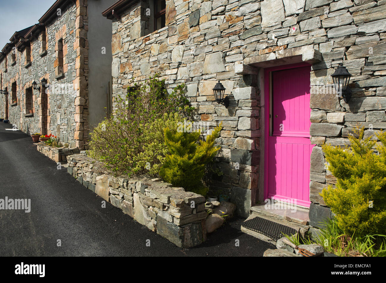 Ireland, Co Galway, Connemara, Cleggan Harbour, garish pink painted ...
