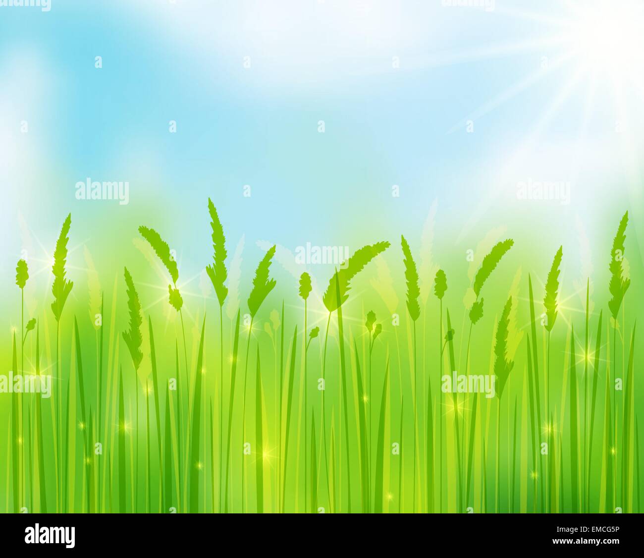 Soft grass green Stock Vector Images - Alamy