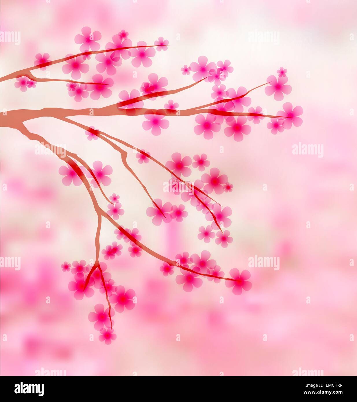 Template asian background sakura Stock Vector Images - Alamy