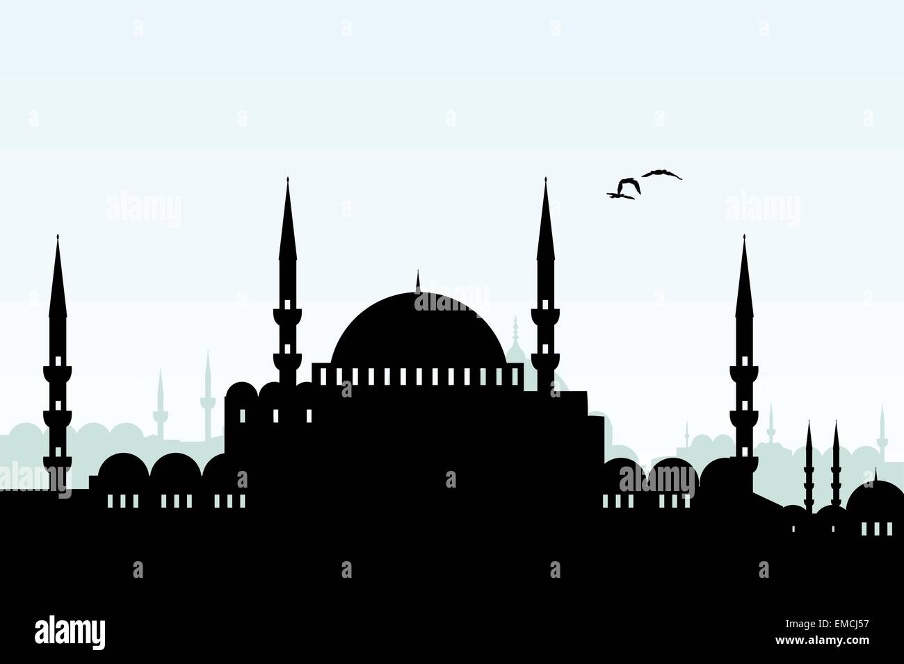 Istanbul and birds Stock Vector Images - Alamy