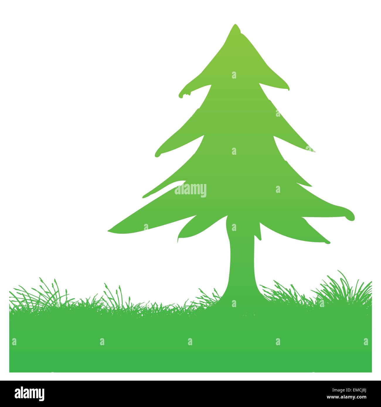 Pine tree illustration Stock Vector Images - Alamy