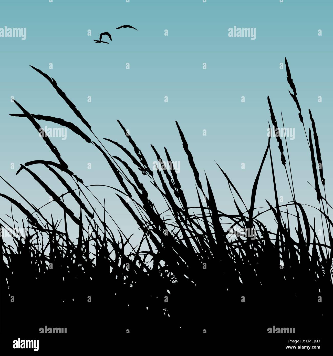 Reed plant Stock Vector Images - Alamy