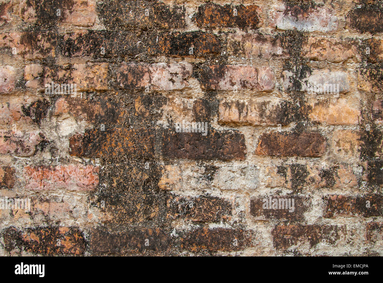 Large red brick Arranged as background Stock Photo - Alamy